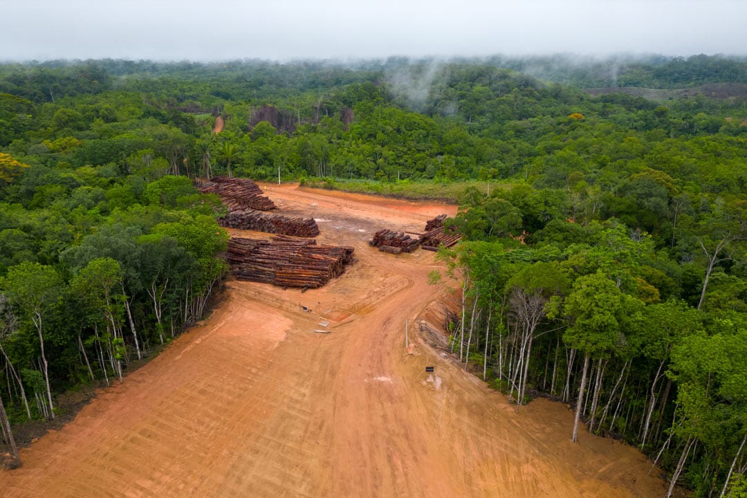 FSC Meaning | What Is The Forestry Stewardship Council? | Door Station